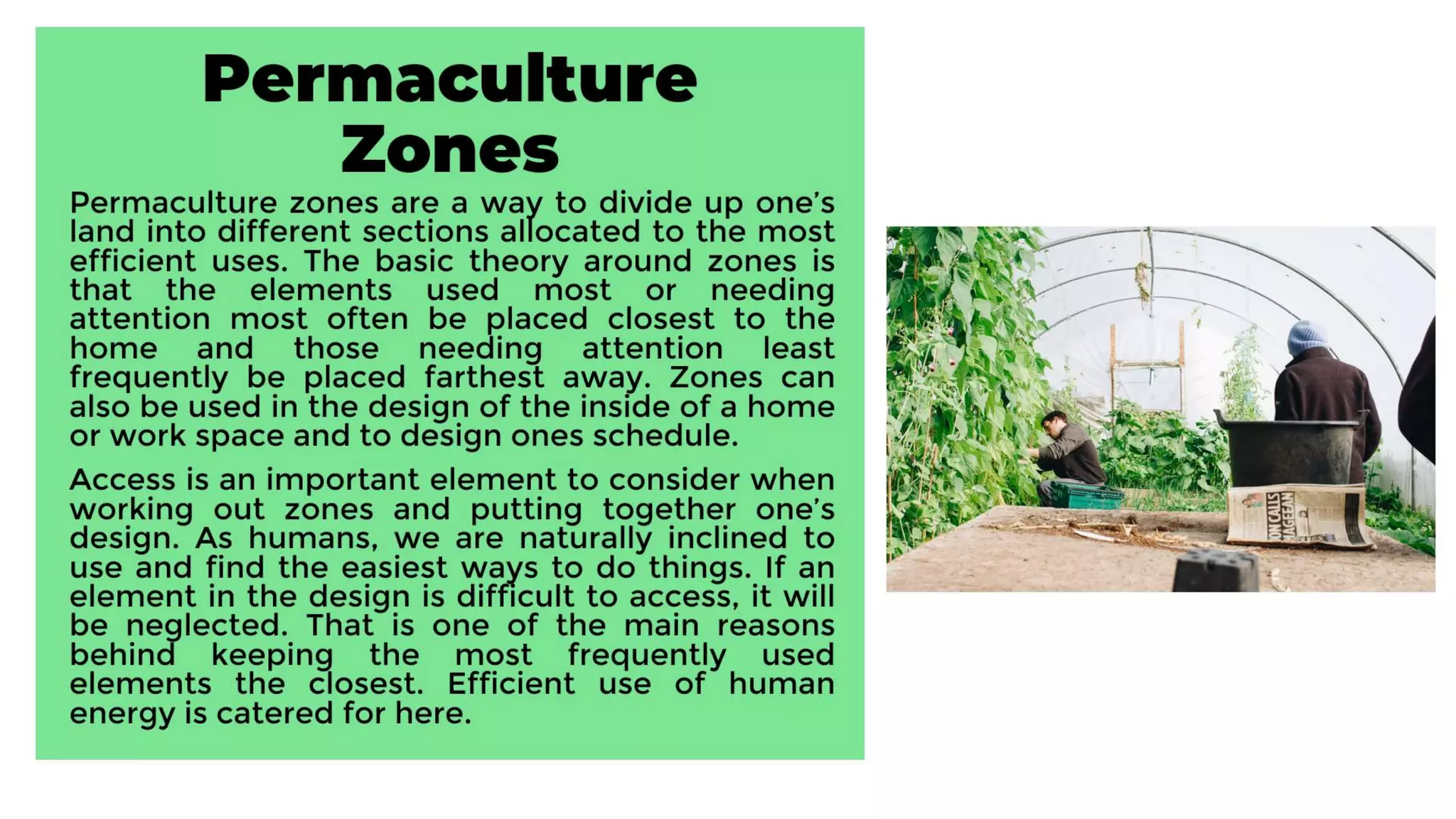 Permaculture zones | PPT