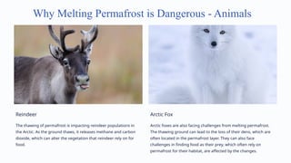 Permafrost The Hidden Climate Threat.ppt