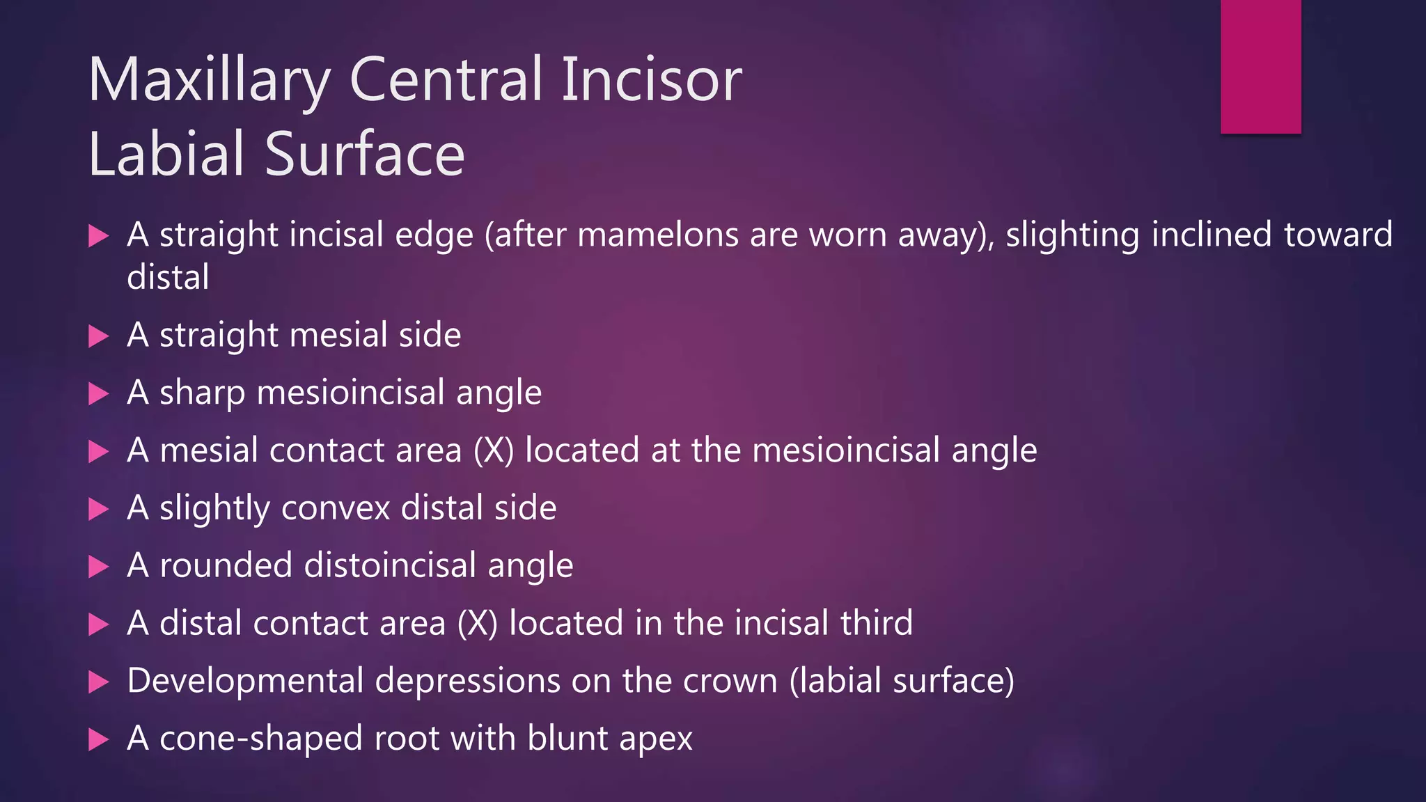 Permanent anterior teeth | PPTX