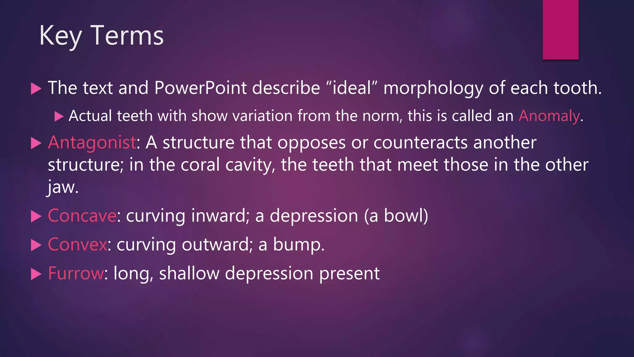 Permanent anterior teeth | PPTX