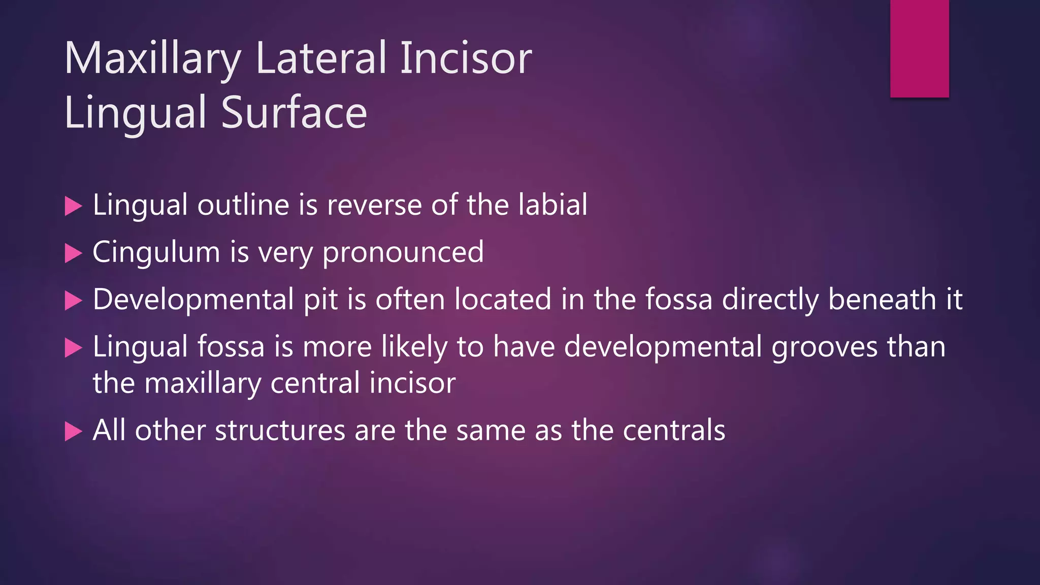 Permanent anterior teeth | PPTX