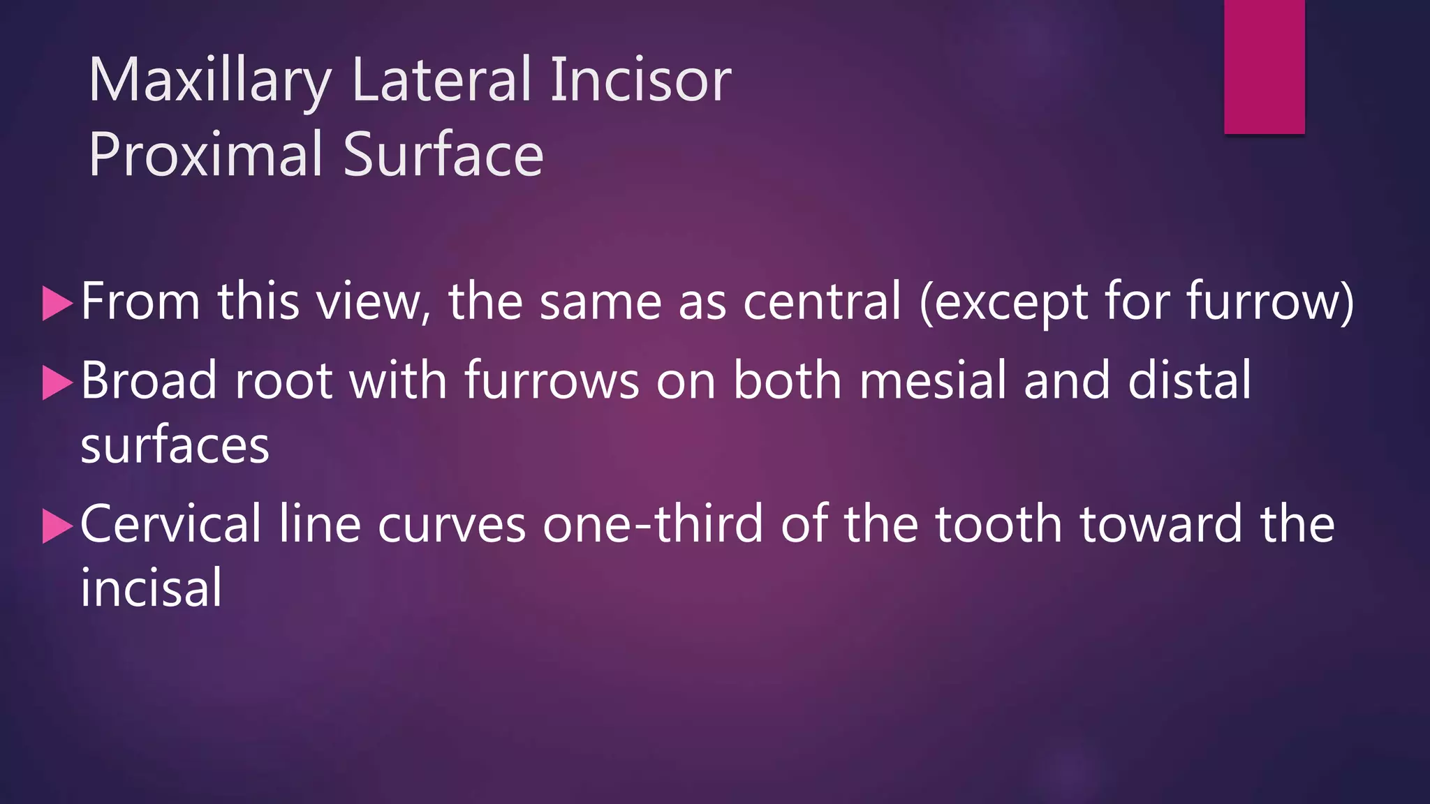 Permanent anterior teeth | PPTX