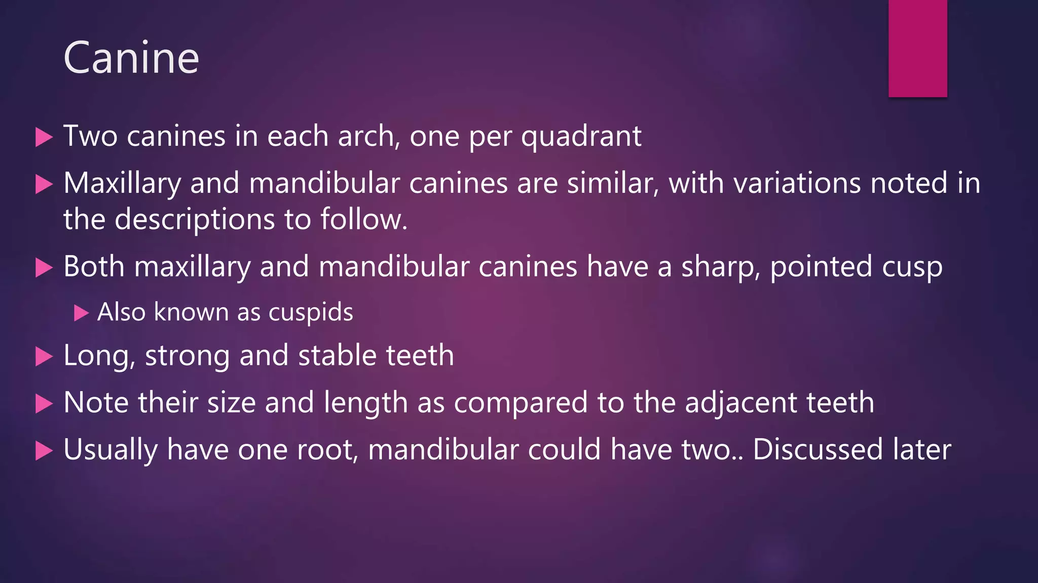 Permanent anterior teeth | PPTX