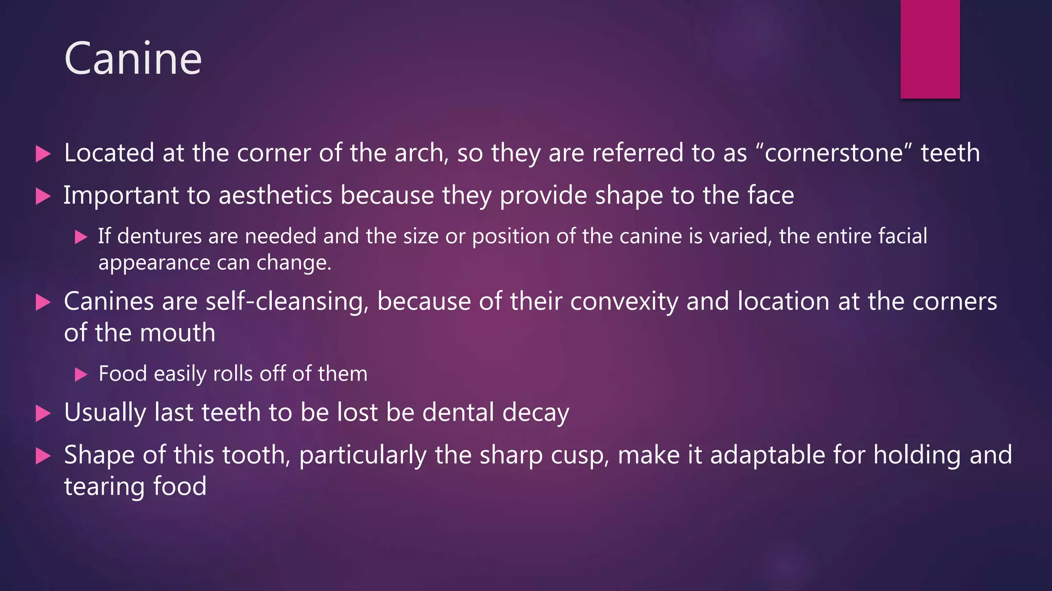 Permanent anterior teeth | PPTX