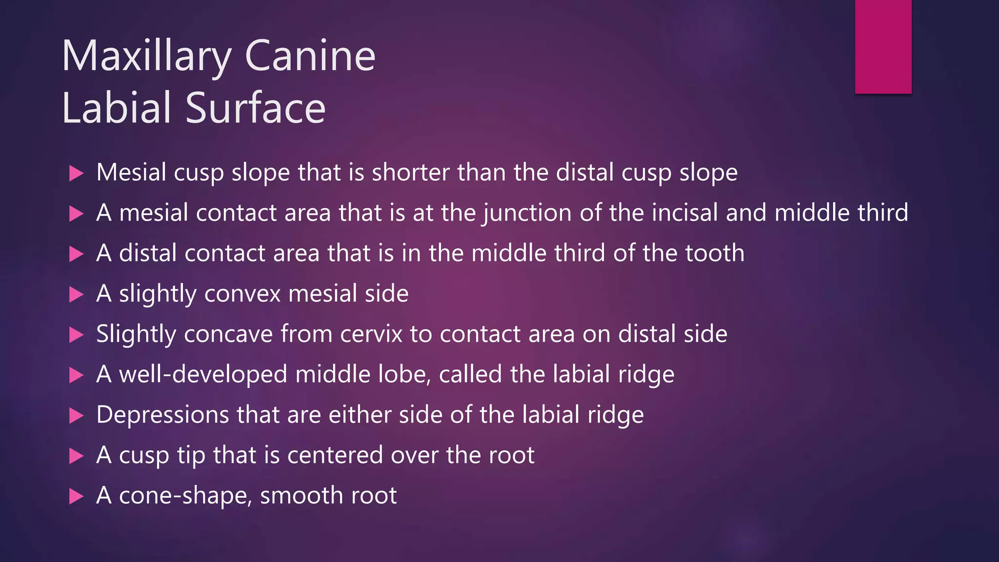 Permanent anterior teeth | PPTX