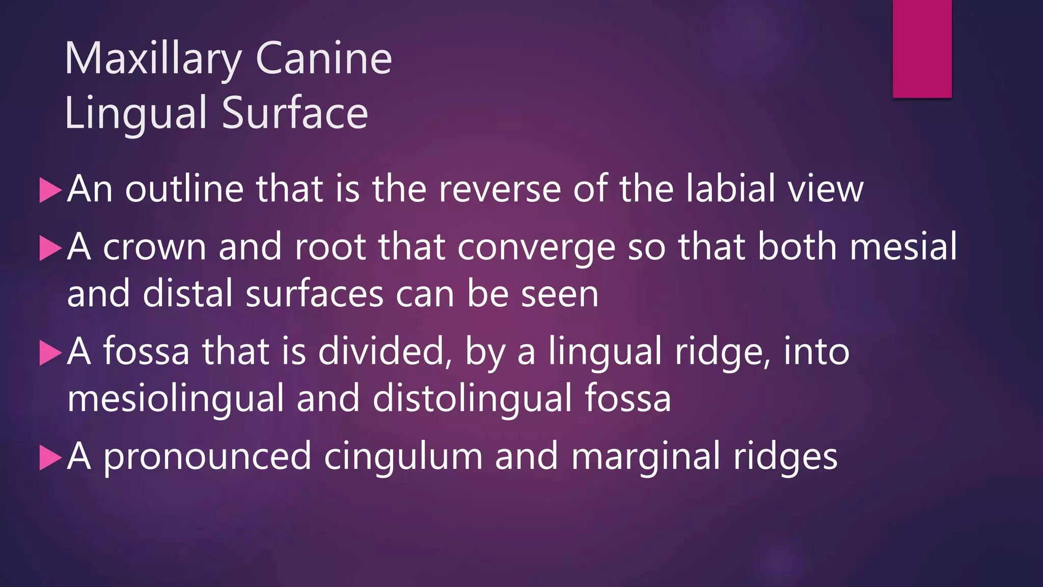 Permanent anterior teeth | PPTX
