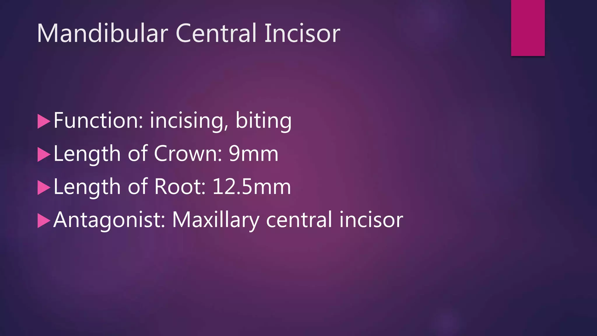 Permanent anterior teeth | PPTX