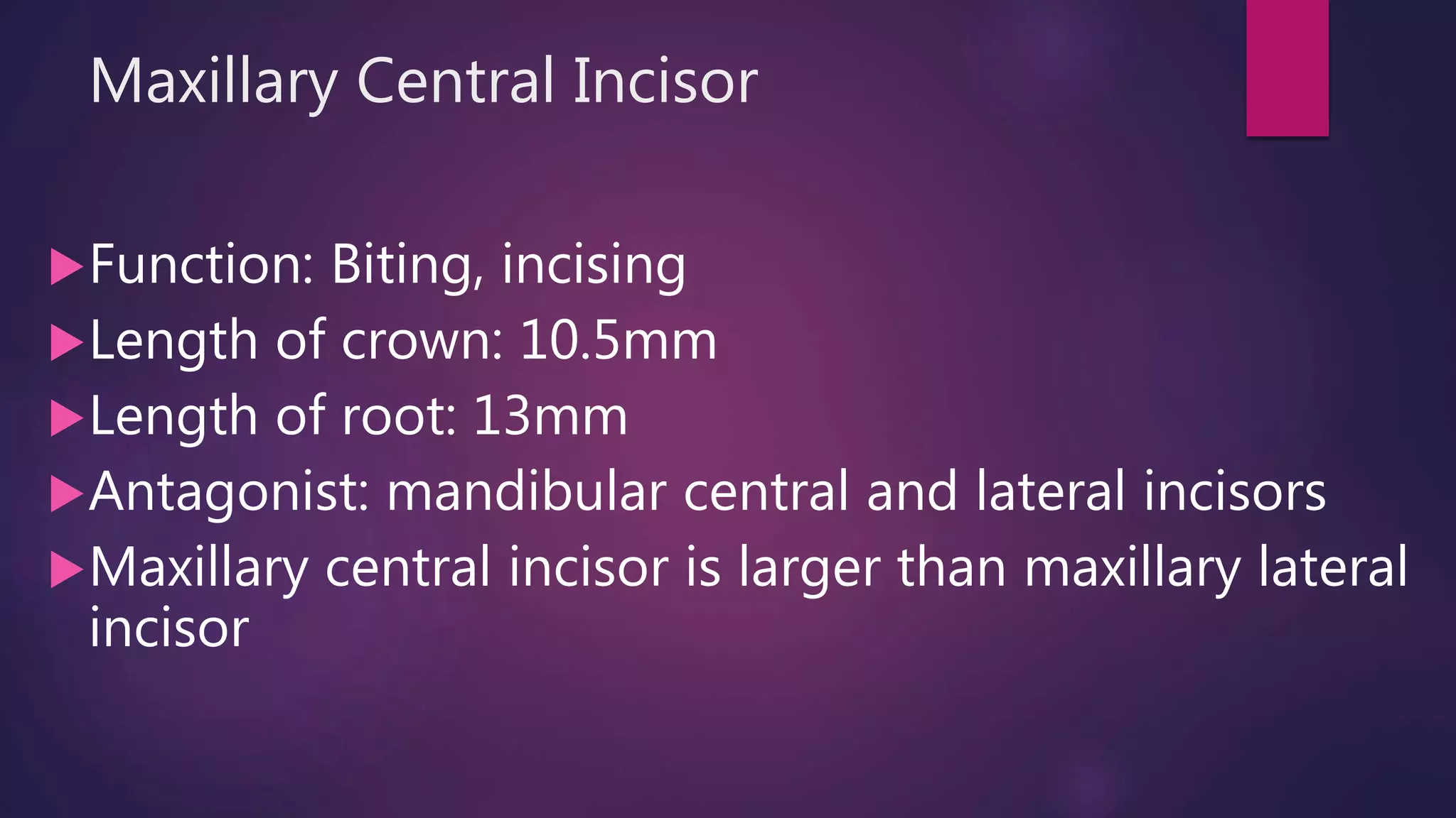 Permanent anterior teeth | PPTX