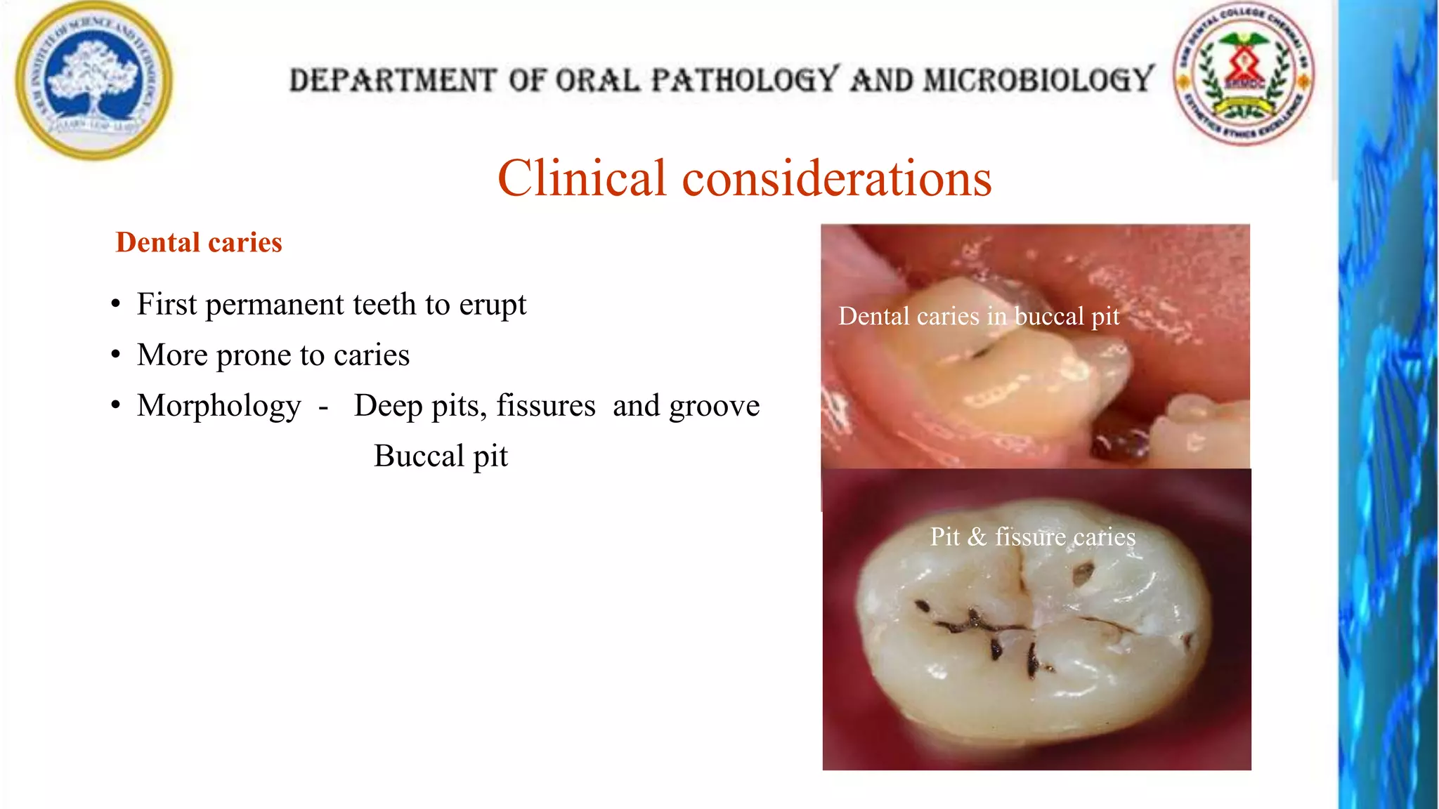 Permanent mandibular first molar | PPTX