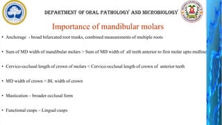 Permanent mandibular first molar | PPTX