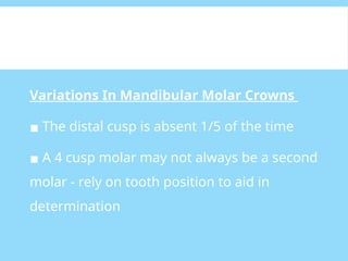 PERMANENTMANDIBULAR FIRST MOLAR -Oral pathology is a dental specialty ...