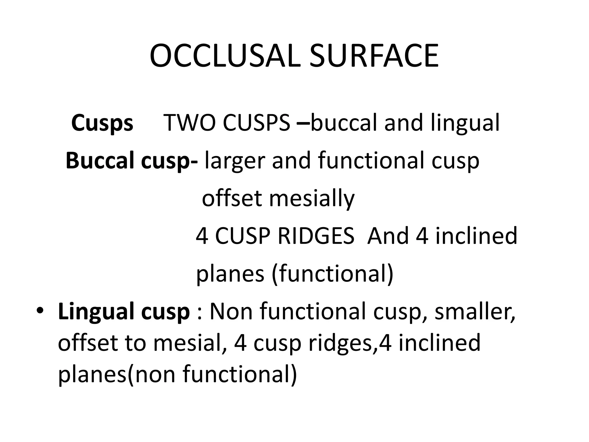 Permanent mandibular first premolar | PPTX
