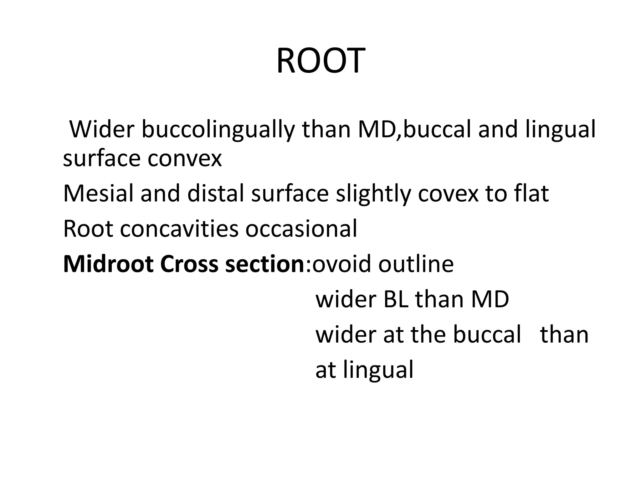 Permanent mandibular first premolar | PPTX