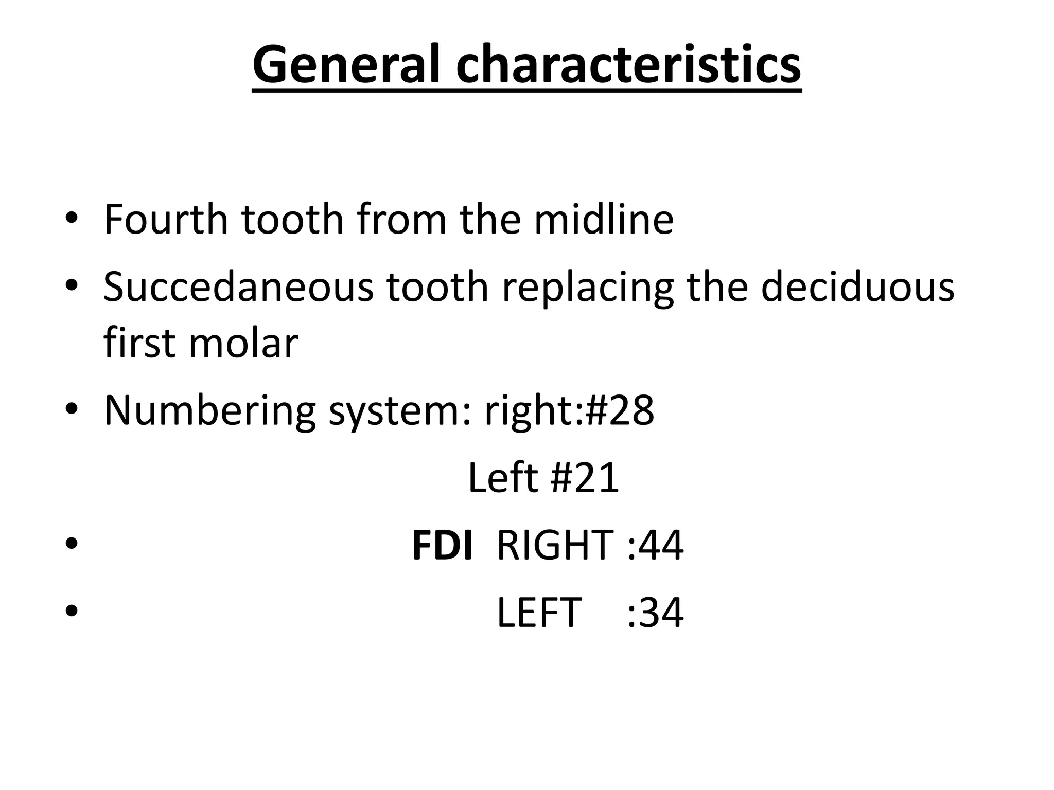 Permanent mandibular first premolar | PPTX