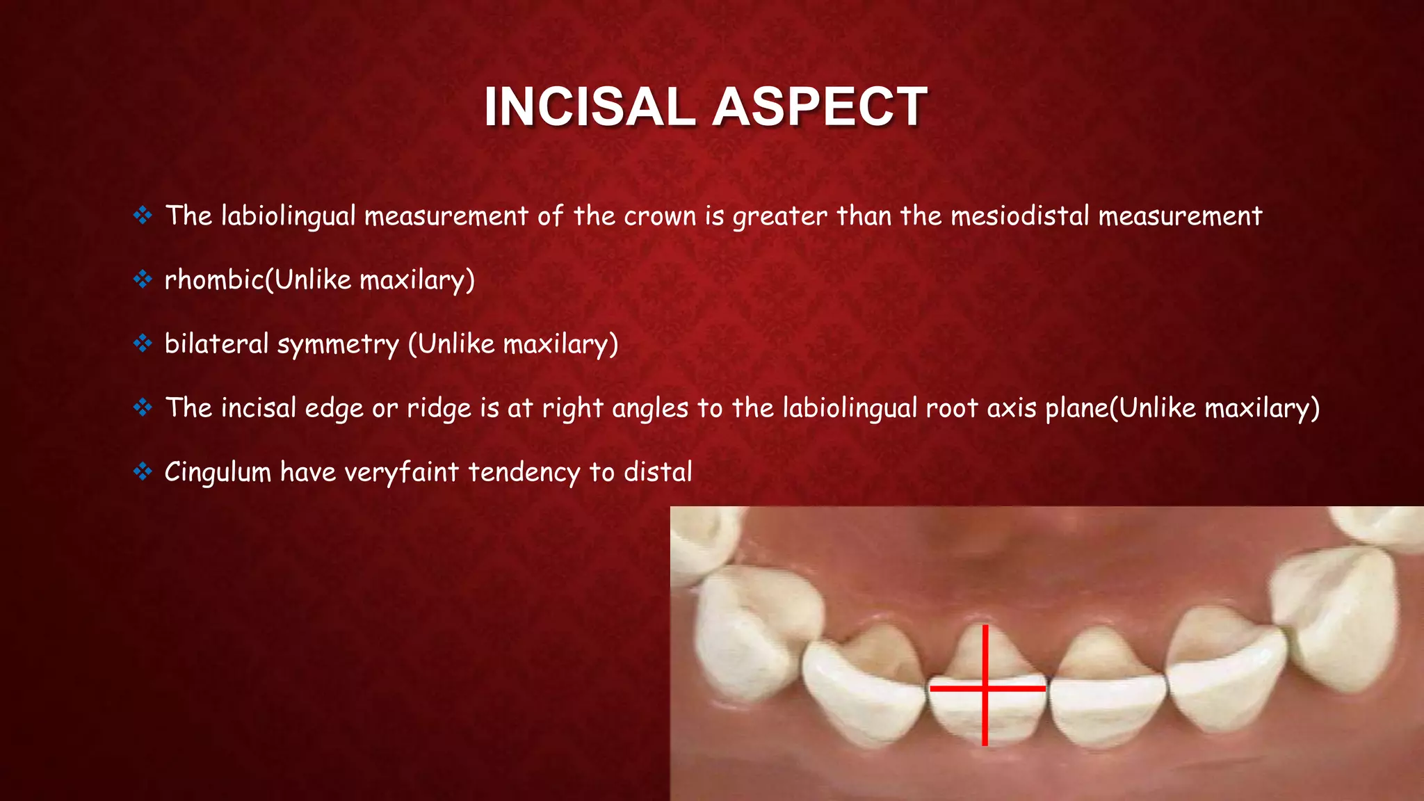 Dental Anatomy of Mandibular Incisors permanent teeth | PPTX
