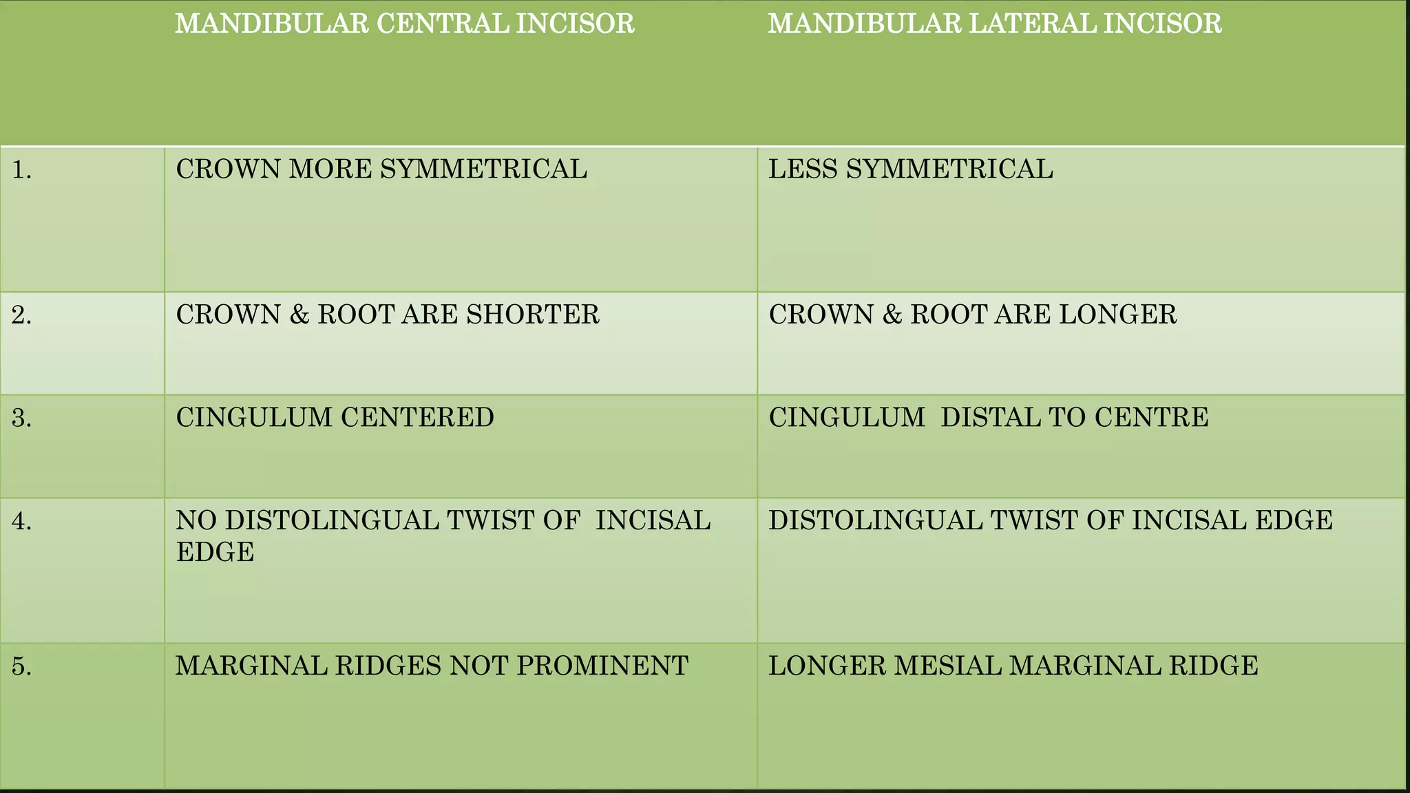 Dental Anatomy of Mandibular Incisors permanent teeth | PPTX | Dental ...