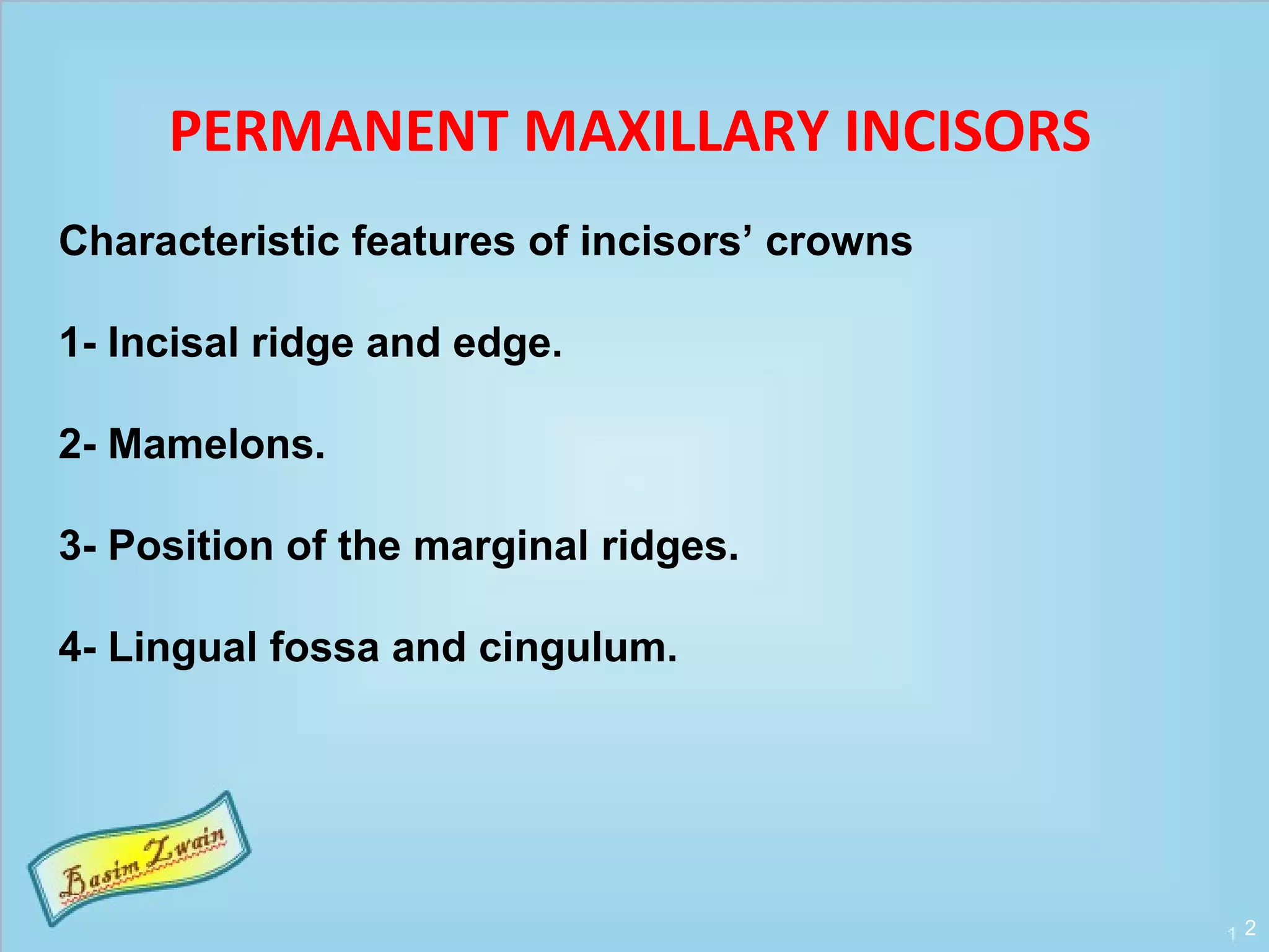 Permanent maxillary incisors | PPT
