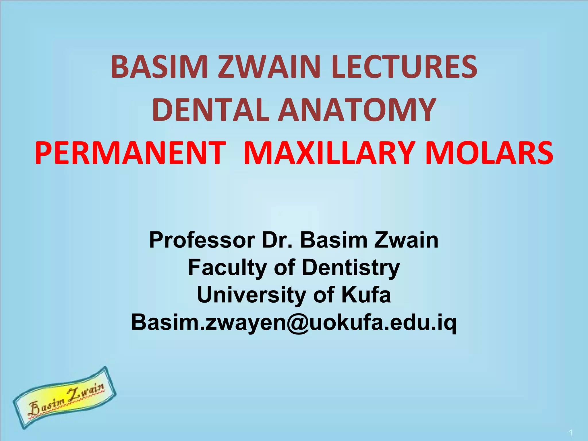 Permanent maxillary molars | PPT