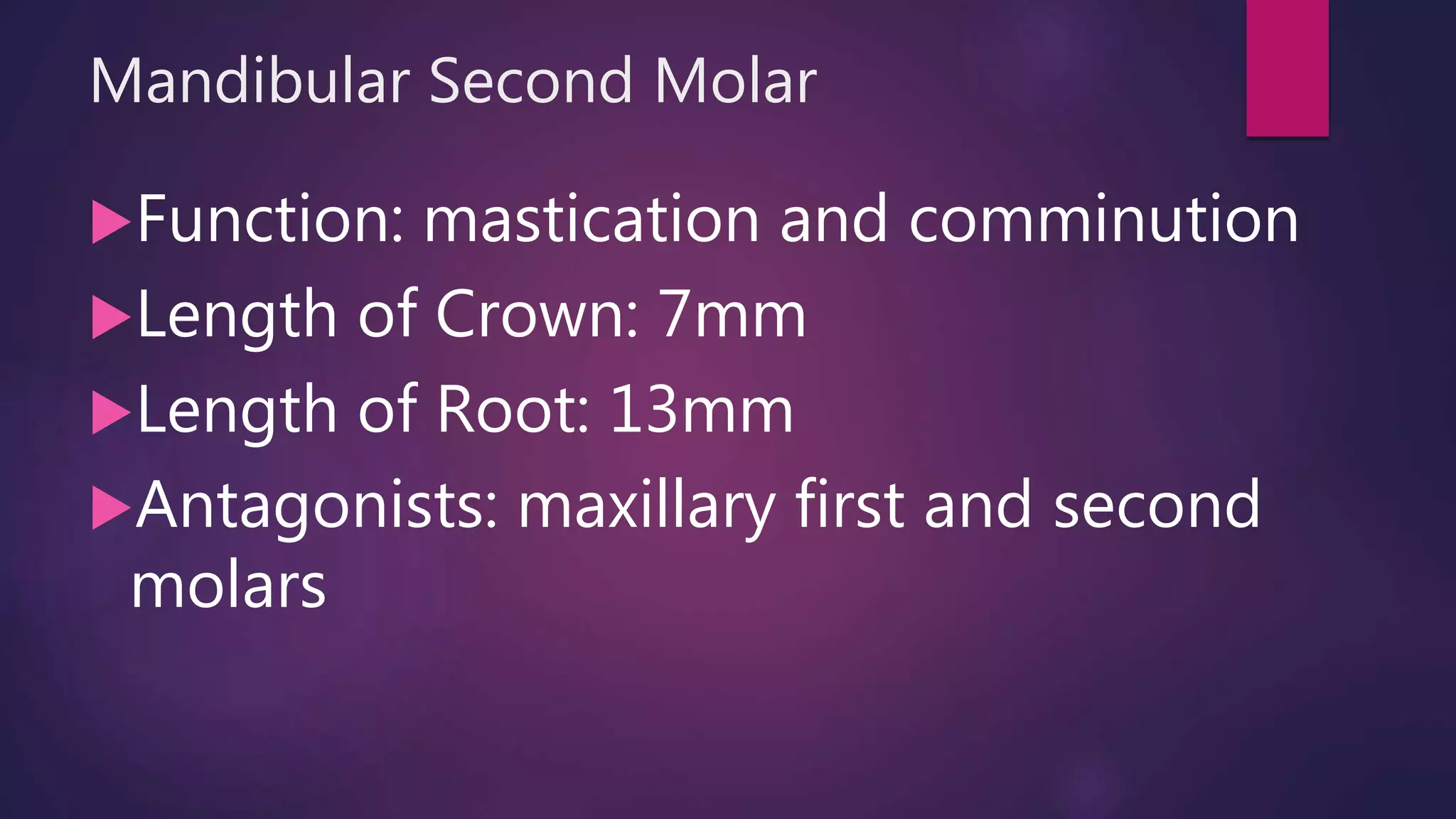 Permanent posterior teeth mandibular first, second and third molars | PPTX