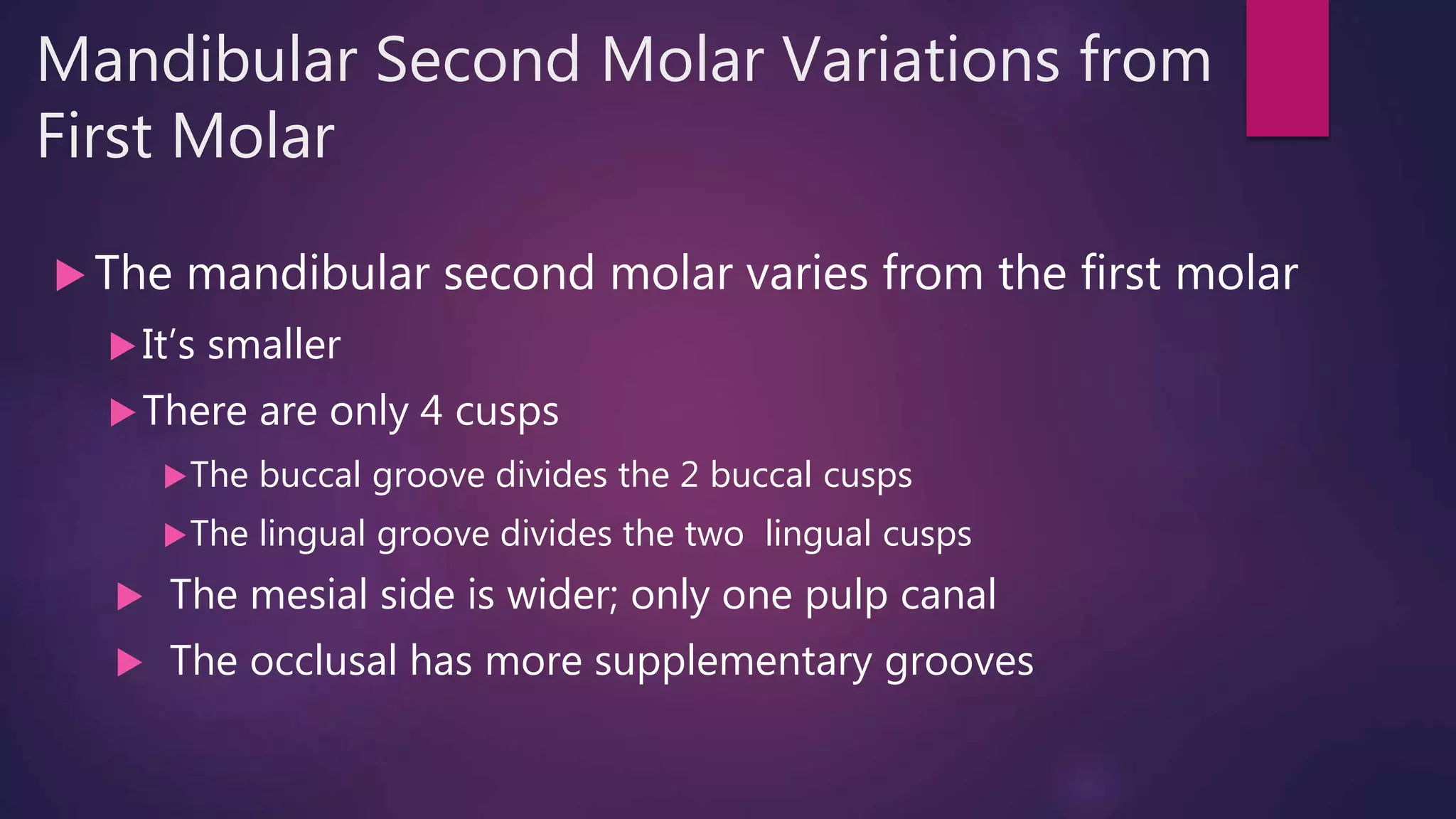 Permanent posterior teeth mandibular first, second and third molars | PPT