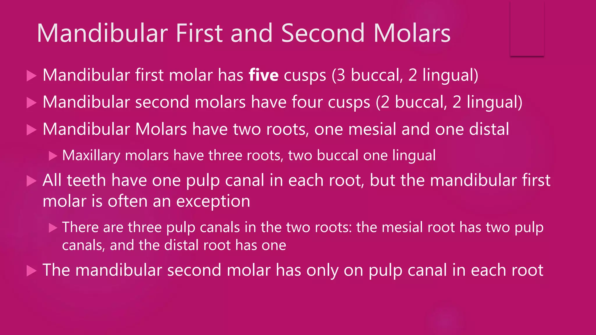 Permanent posterior teeth mandibular first, second and third molars | PPTX