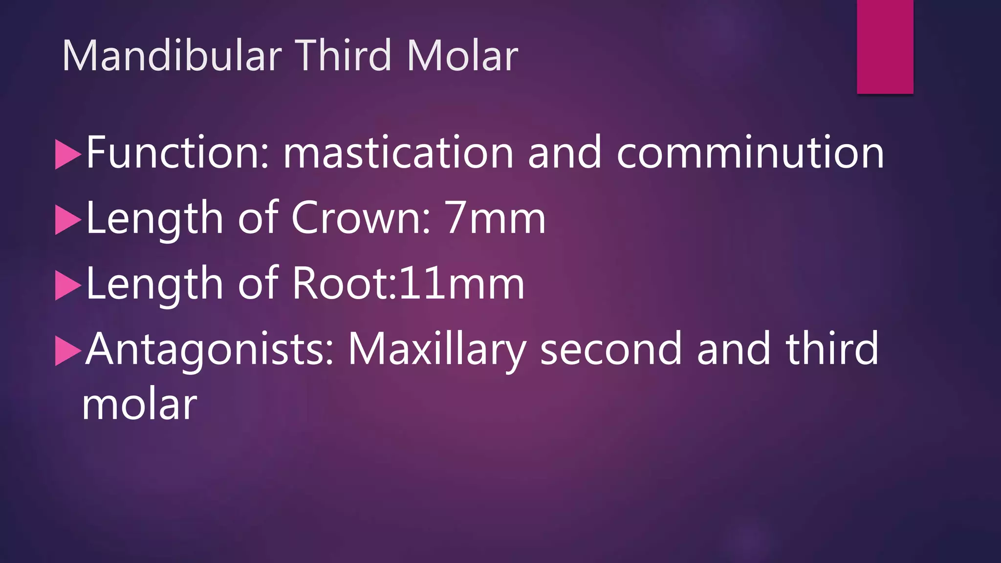 Permanent posterior teeth mandibular first, second and third molars | PPTX