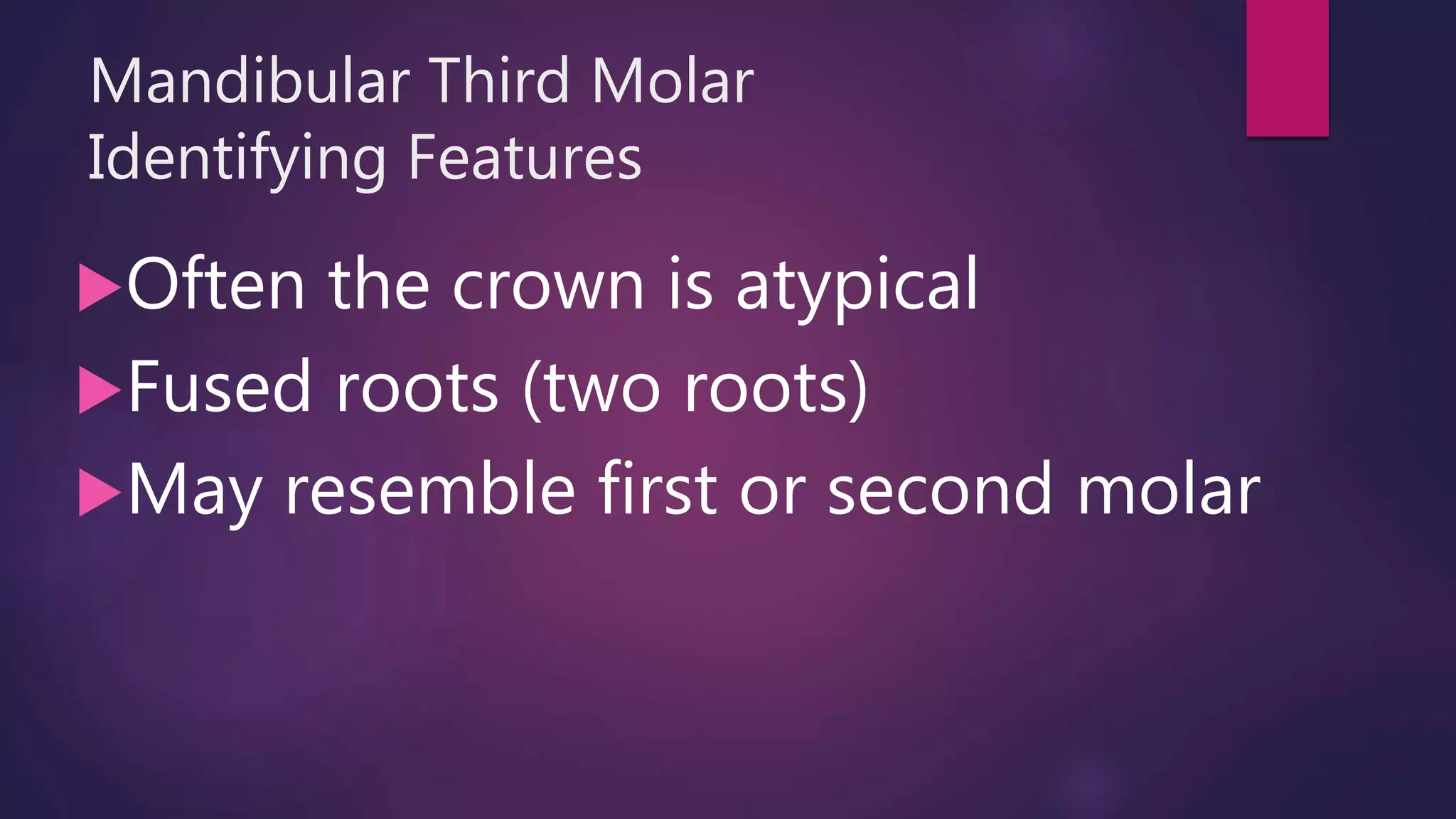 Permanent posterior teeth mandibular first, second and third molars | PPTX