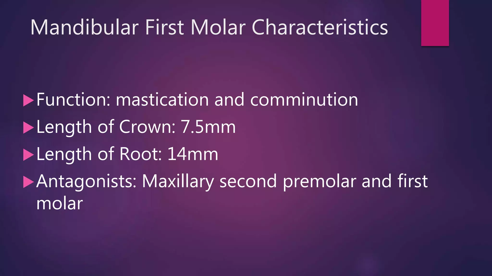 Permanent posterior teeth mandibular first, second and third molars | PPTX