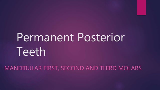 Permanent posterior teeth mandibular first, second and third molars | PPT