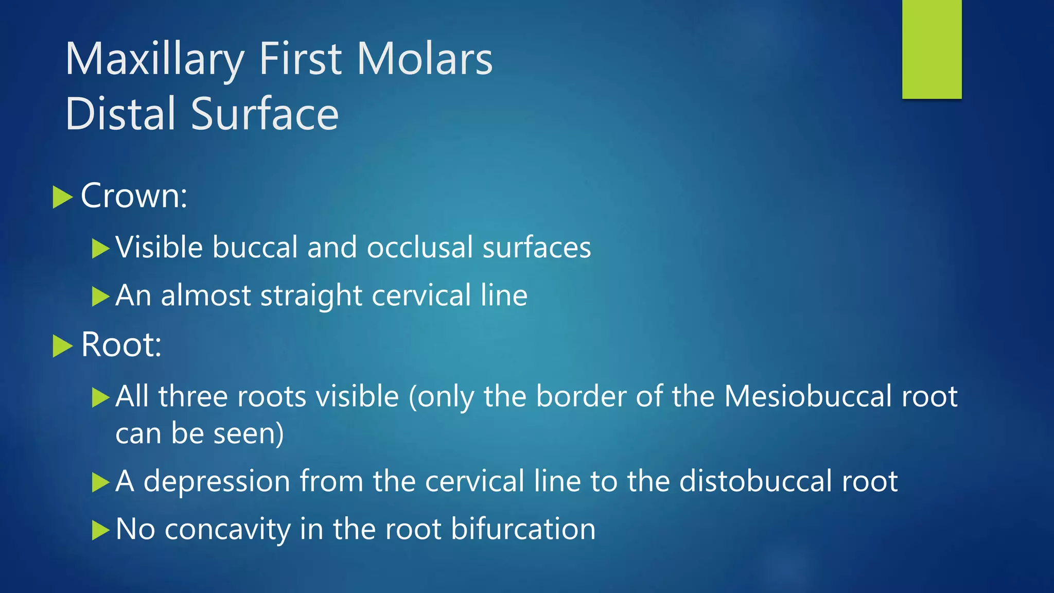 Permanent posterior teeth maxillary first, second and third molars | PPTX