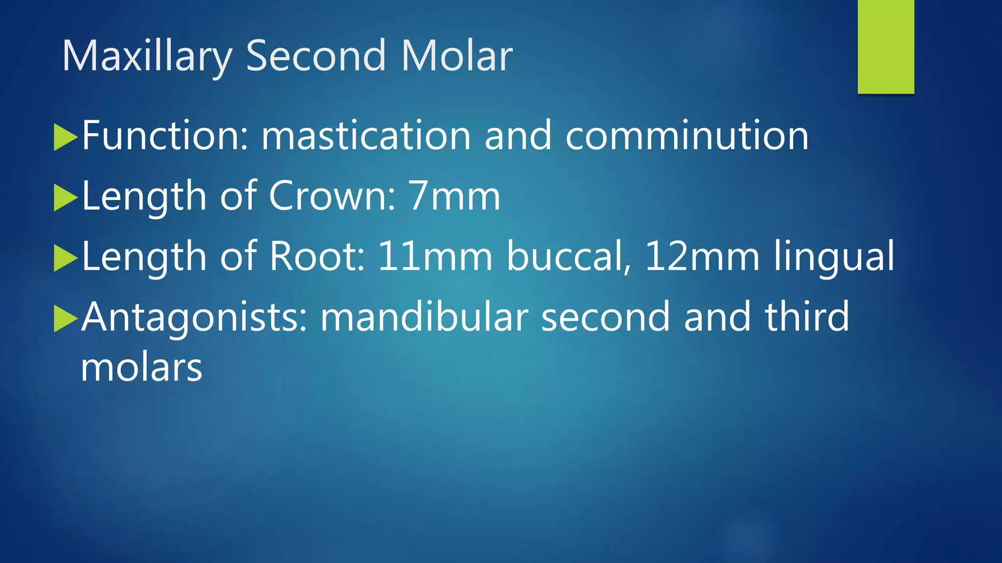 Permanent posterior teeth maxillary first, second and third molars | PPTX