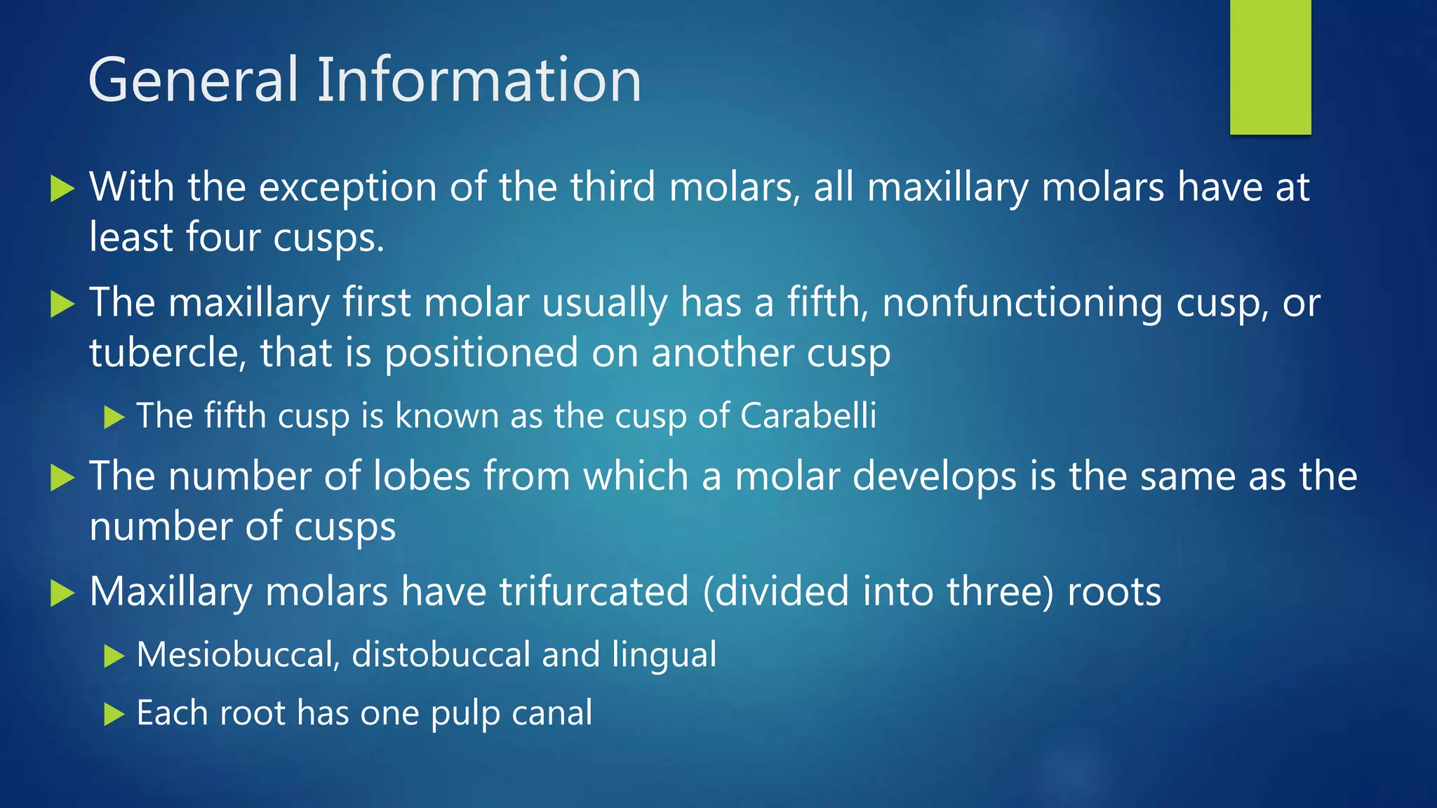Permanent posterior teeth maxillary first, second and third molars | PPTX