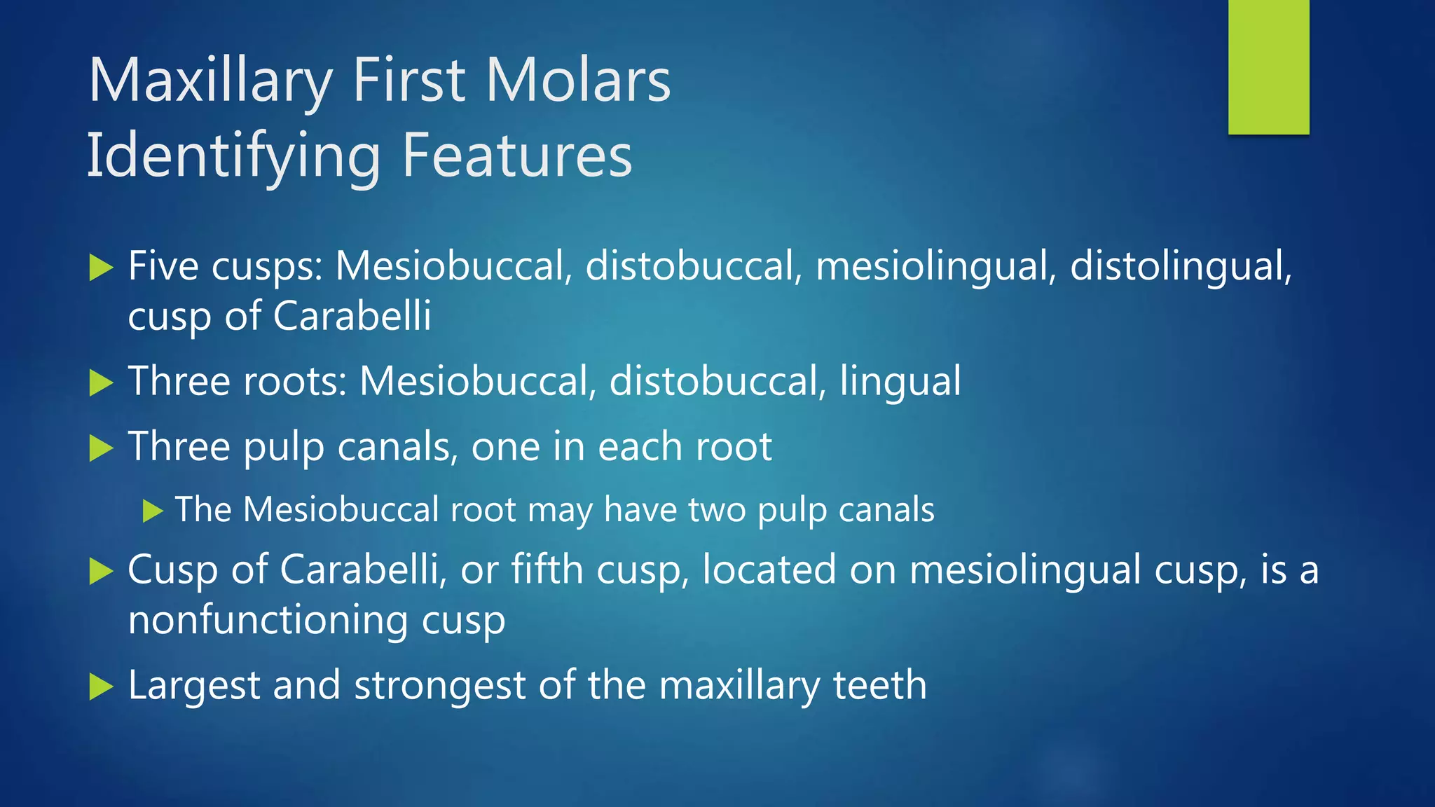 Permanent posterior teeth maxillary first, second and third molars | PPTX