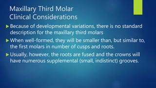 Permanent posterior teeth maxillary first, second and third molars | PPTX