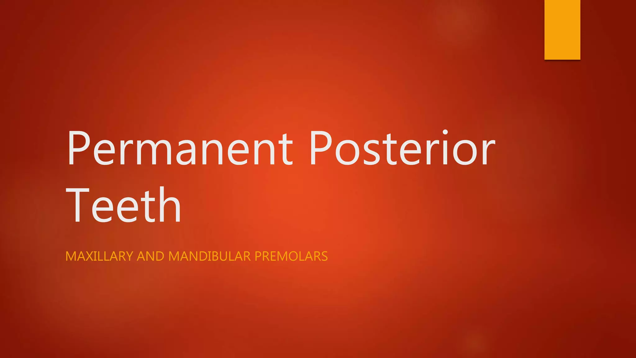 Permanent posterior teeth premolars | PPTX