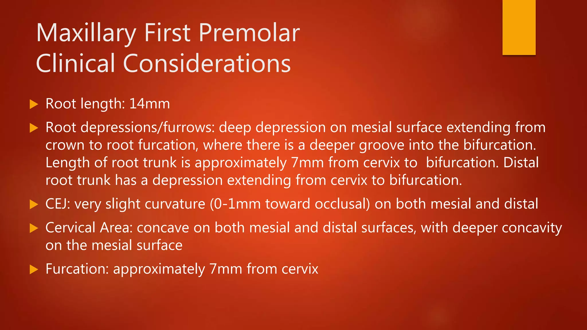 Permanent posterior teeth premolars | PPTX