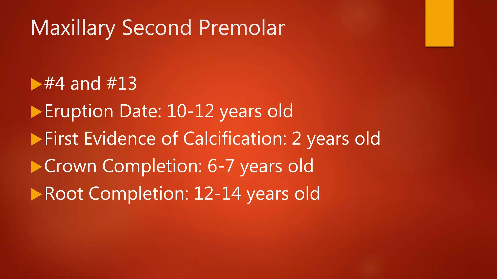 Permanent posterior teeth premolars | PPTX