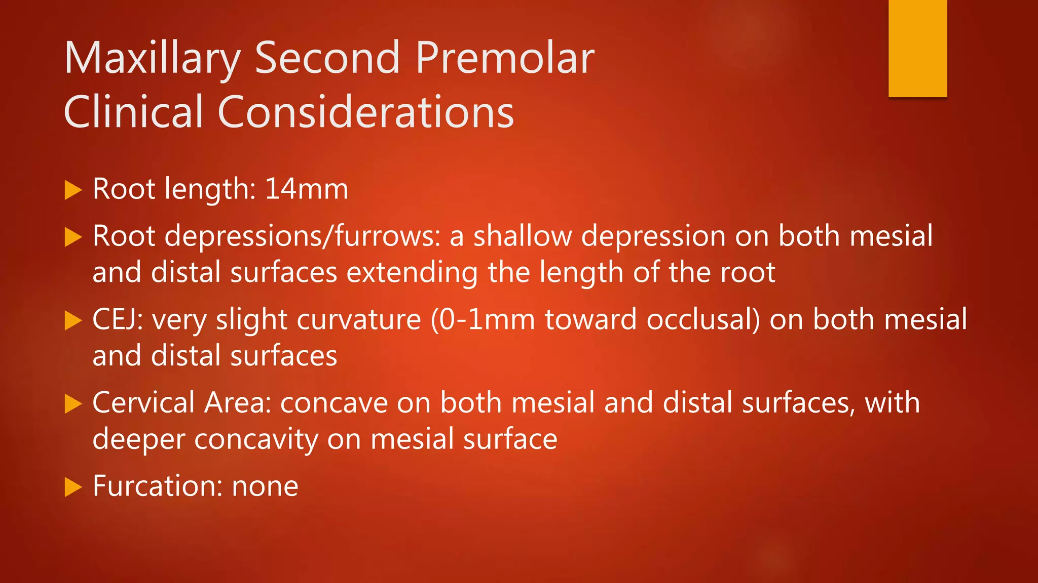 Permanent posterior teeth premolars | PPTX