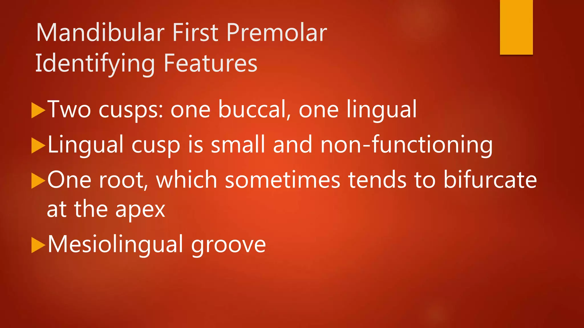 Permanent posterior teeth premolars | PPTX