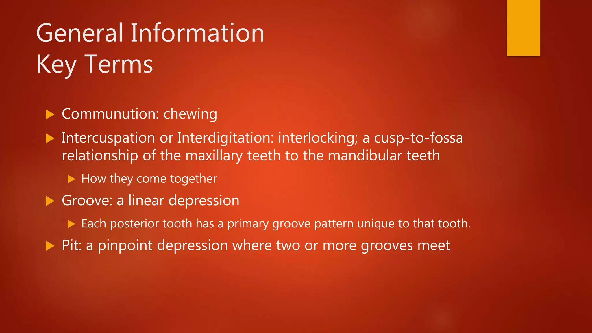 Permanent posterior teeth premolars | PPTX