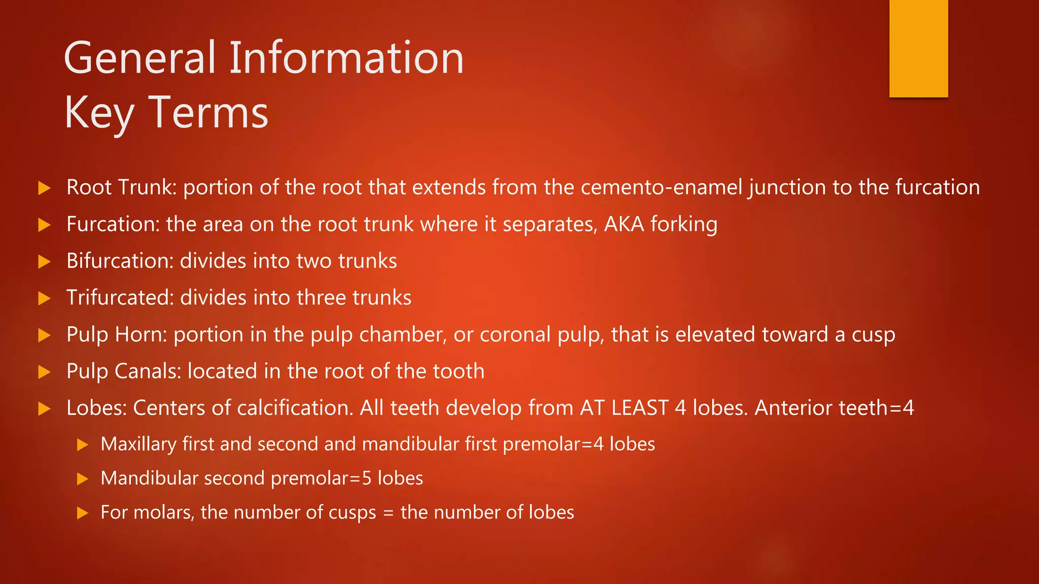 Permanent posterior teeth premolars | PPTX