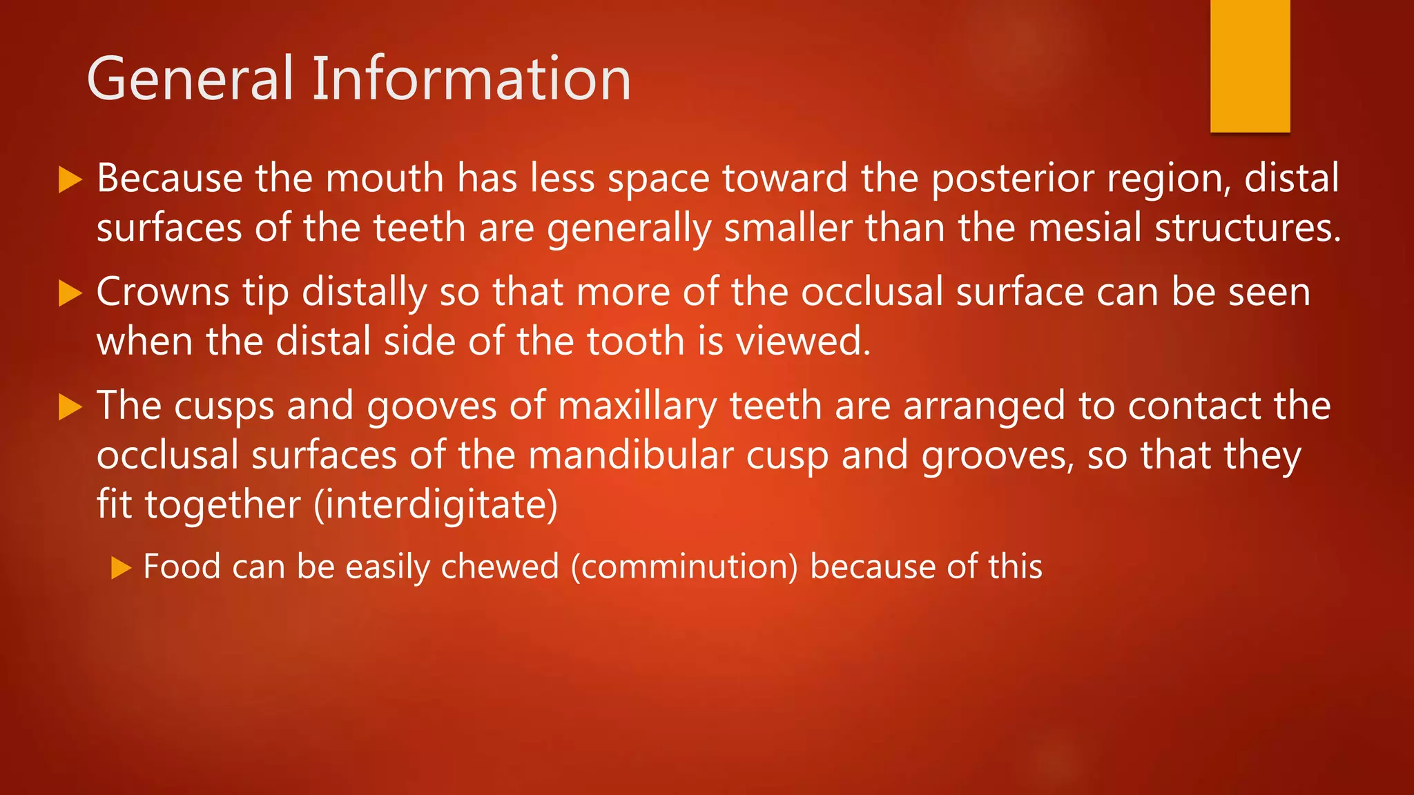 Permanent posterior teeth premolars | PPTX