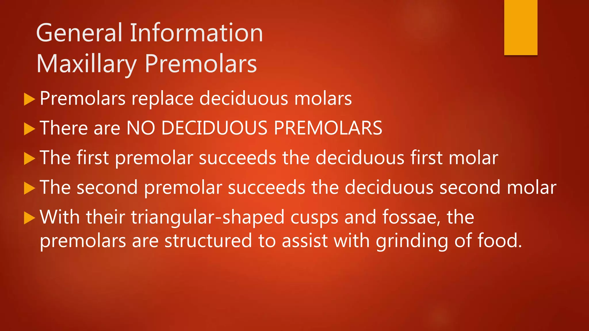 Permanent posterior teeth premolars | PPTX