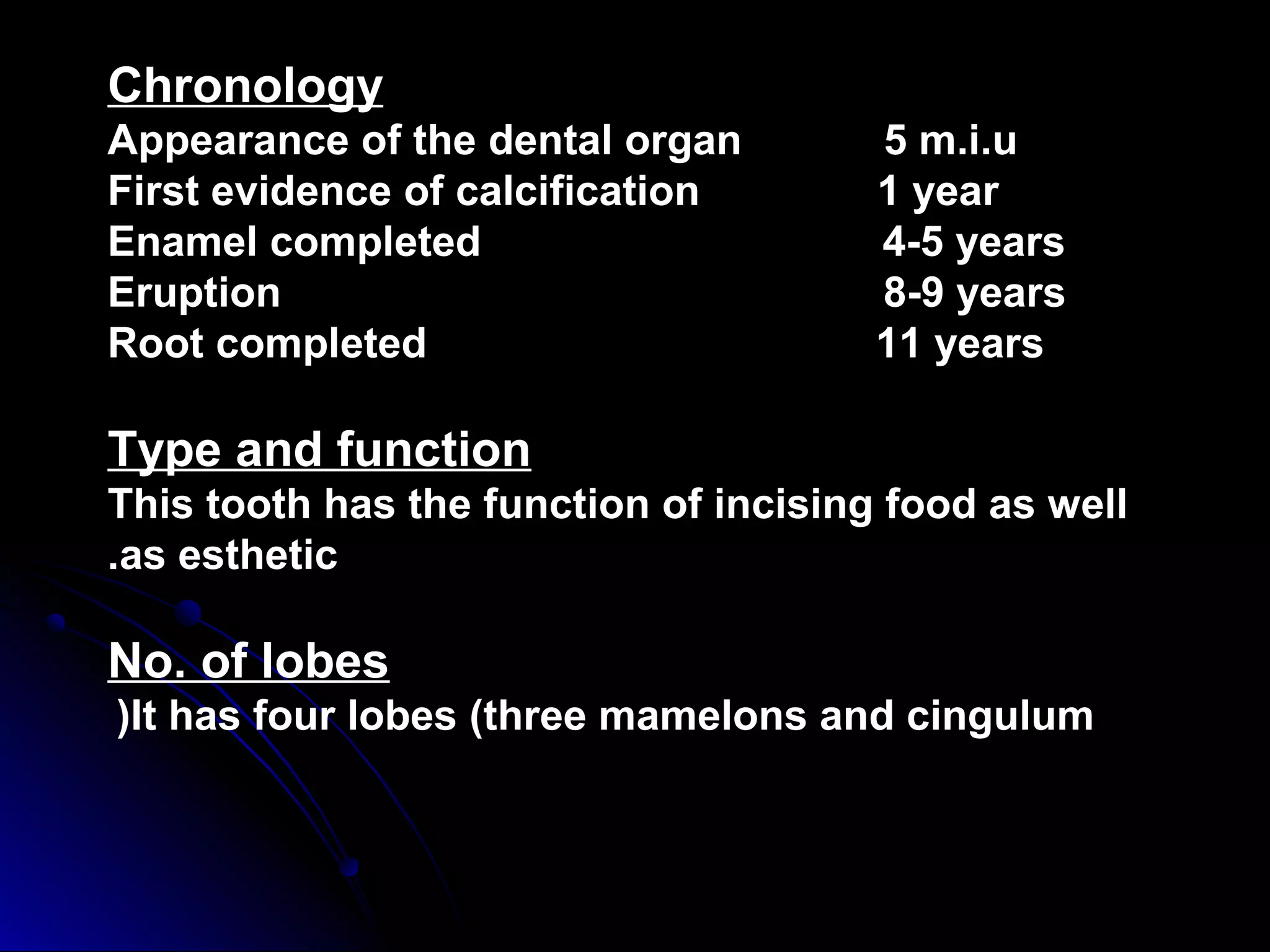 Permanent teeth Anatomy | PPT