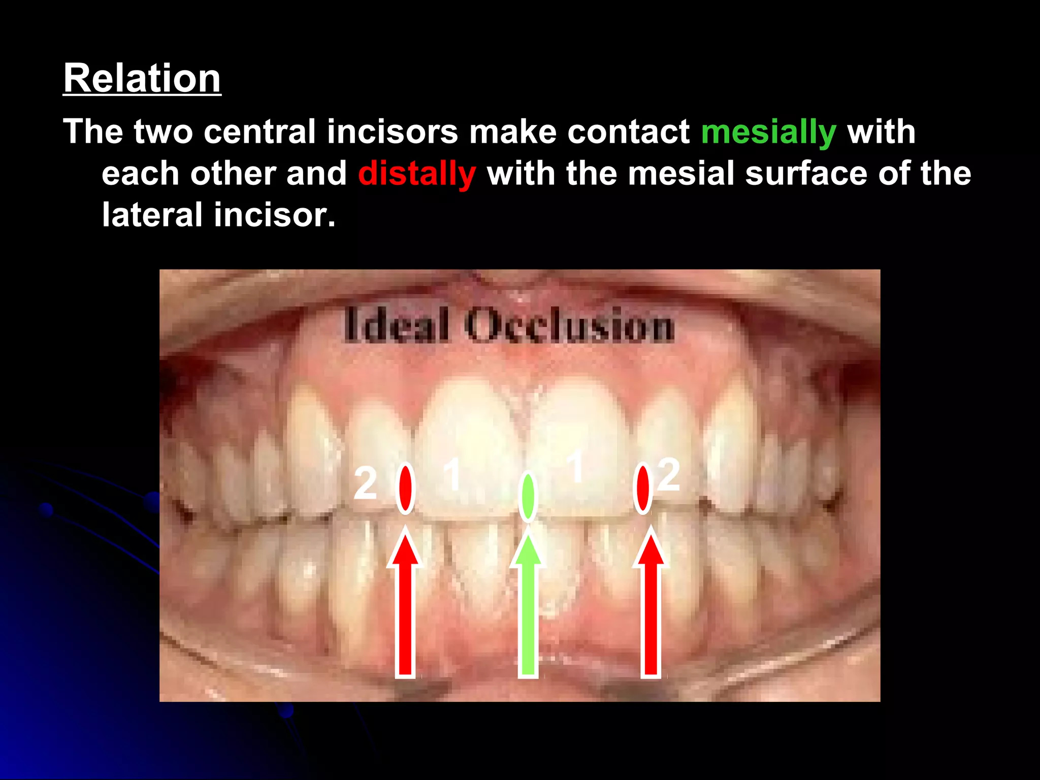 Permanent teeth Anatomy | PPT
