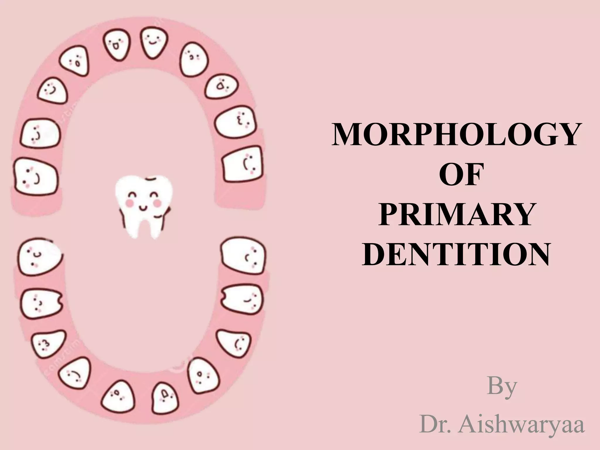 Permanent teeth Anatomy.pptx