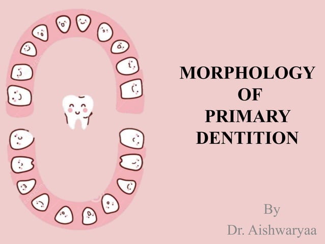 Permanent teeth Anatomy.pptx | Dental Health | Diseases and Conditions