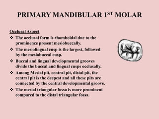 Permanent teeth Anatomy.pptx