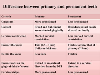 Permanent teeth Anatomy.pptx