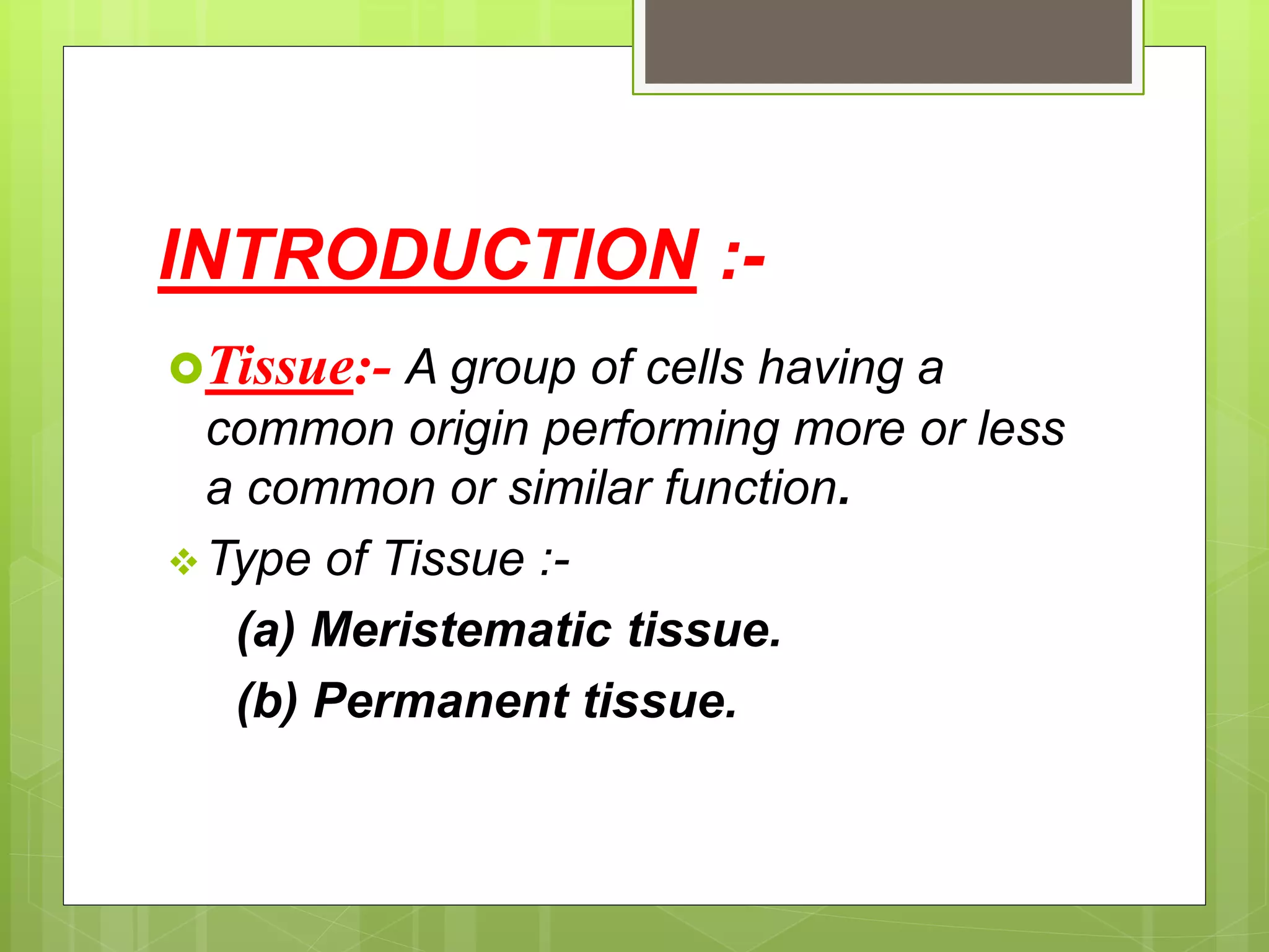 PERMANENT TISSUE.pptx